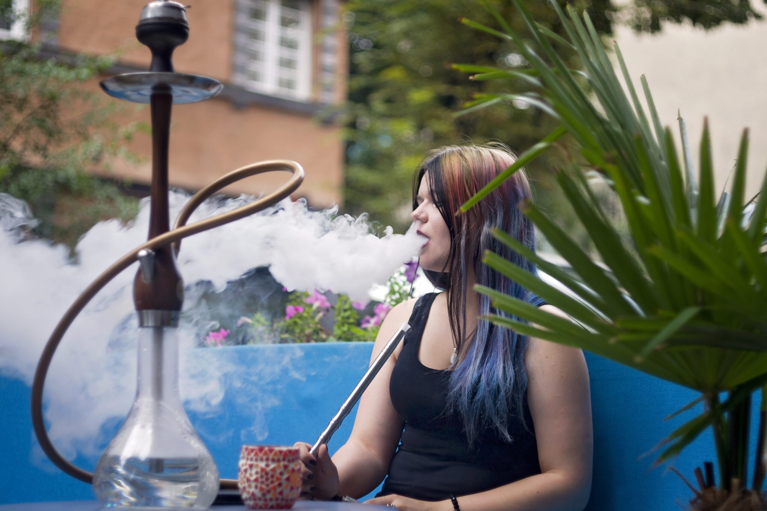 How to make the perfect hookah - Royal Lounge Belgrade